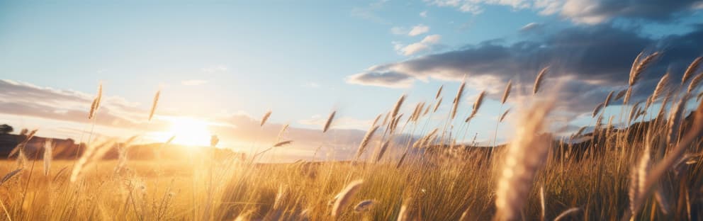 Obituary, Visitation & Funeral Information | Linda Ramsey